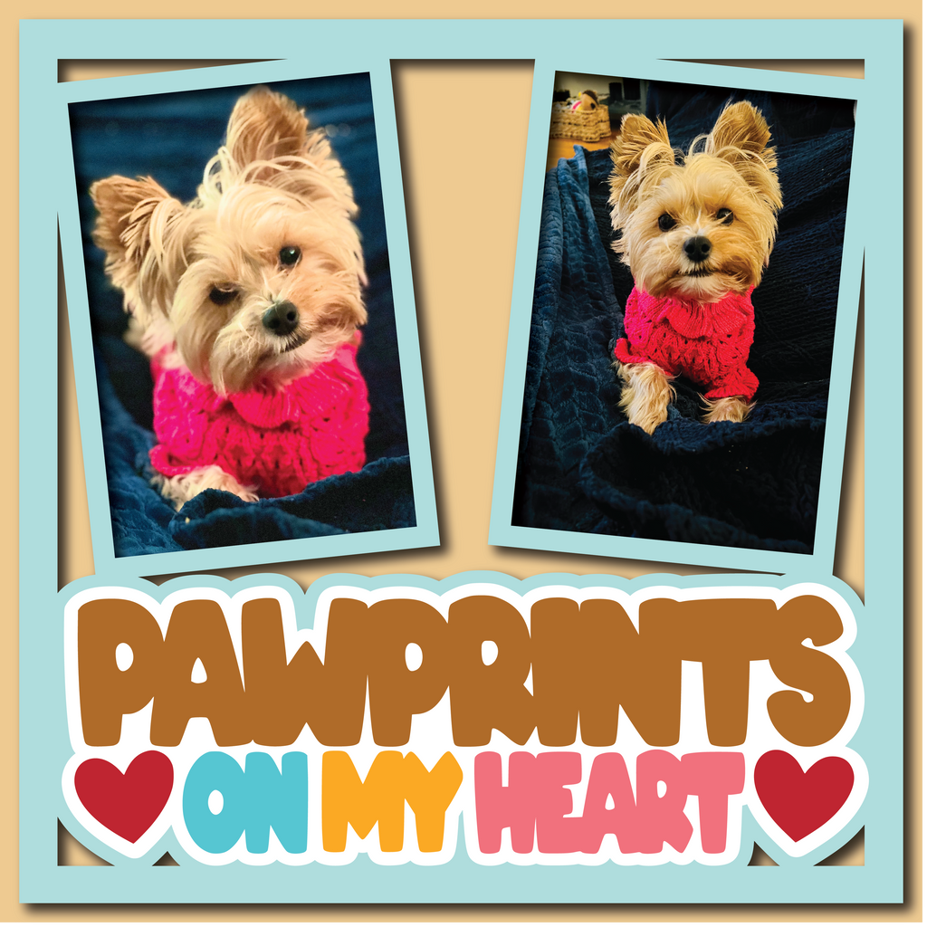 Pawprints on My Heart - Layered Overlay - Digital Cut File - SVG - INS ...